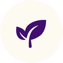 A2 Dairy, Beyond Organic, Gluten-Free, No Seed Oils/Soy Cookies